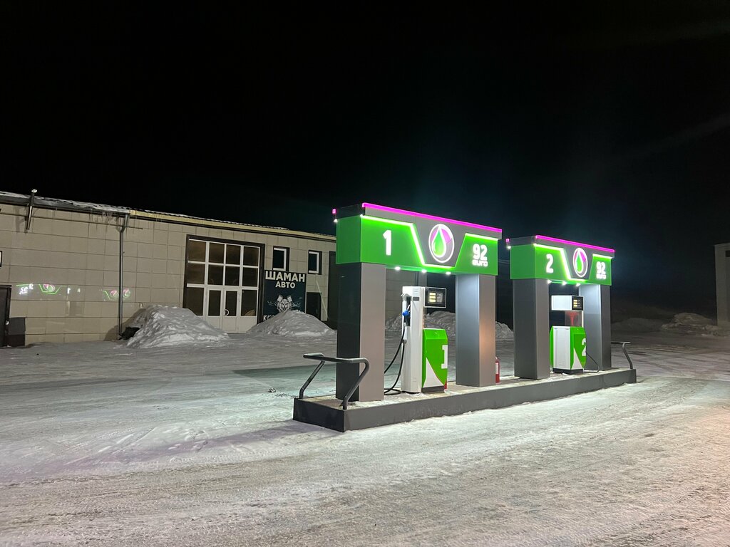 Benzin istasyonu Баштранснефть, Tuymazy, foto