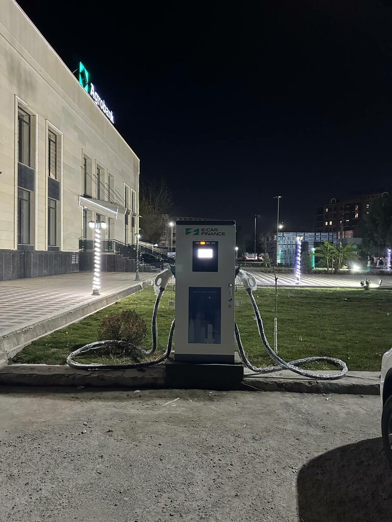 Elektrikli oto şarj istasyonları Agrobank Voltauto, Cizzak, foto