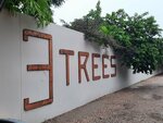 3 Trees (Addis Ababa Drive No:1165), kafe  Lusaka'dan