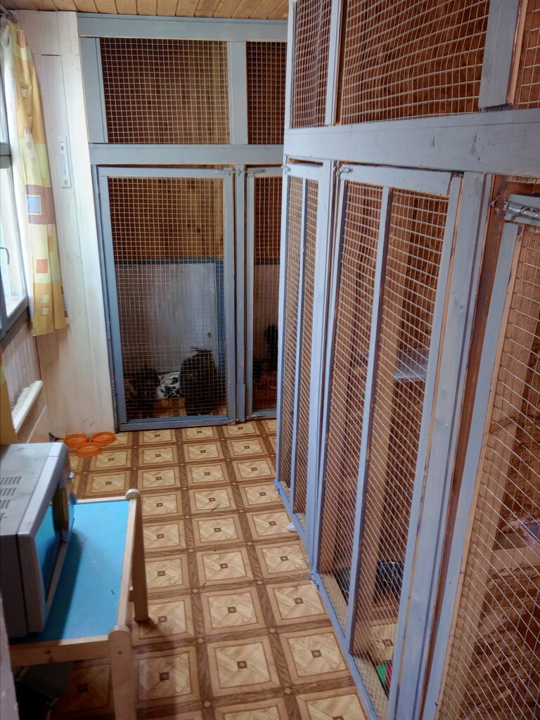 Pet otel Кошкина Усадьба, Moskova ve Moskovskaya oblastı, foto