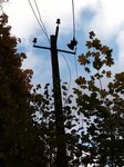 Екимовические РЭС (Bolshaya Sovetskaya ulitsa No:105, selo Yekimovichi), enerji tasarrufu ve denetimi  Smolenskaya oblastından