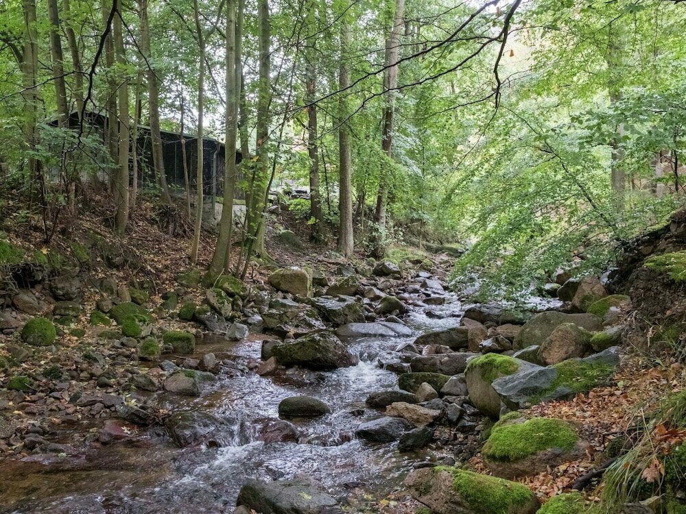 Kısa süreli konaklama Beautiful Apartment in Ilsenburg Harz Near Ski Area, Saksonya‑Anhalt, foto