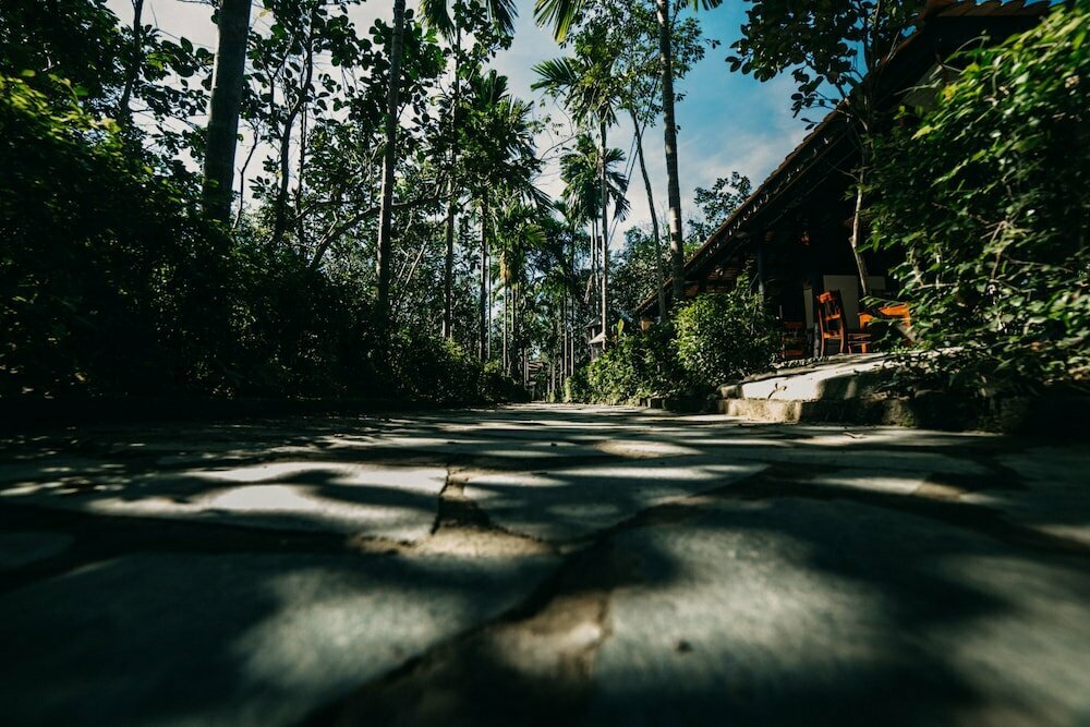 Otel Thuy Bieu Homestay, Hue, foto