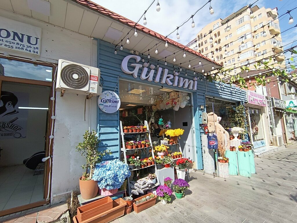 Çiçekçiler Gülkimi, Bakü, foto