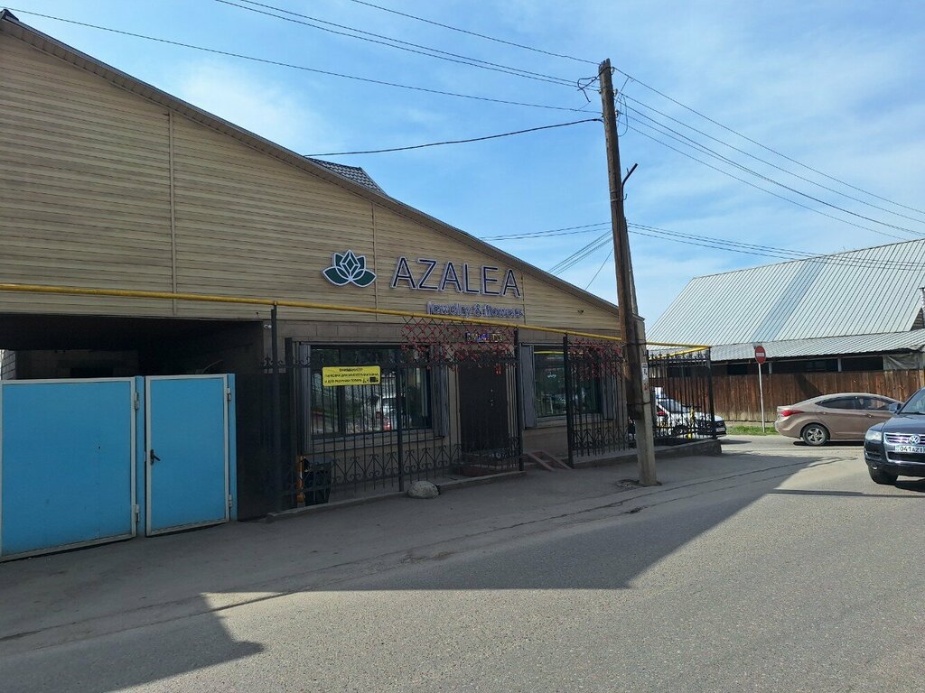 Çiçekçiler Azalea, Almatı, foto