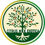 Citrus Mix Exotica (No:к22, Yolkino Residential Complex, derevnya Yelino), fidan yetiştiriciliği  Moskova ve Moskovskaya oblastından