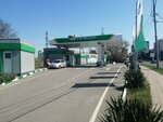 Туалет (V.I. Machugi Street No:9), tuvalet  Krasnodar'dan