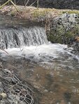 Spring, stream (Nizhnyaya Priokskaya ulitsa No:3), pınar, çay  Aleksin'den