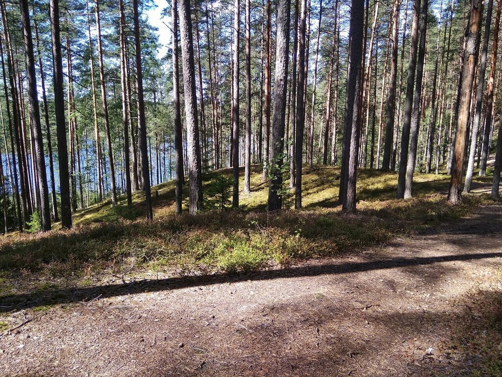 Madencilik işletmeleri Песок, Saint‑Petersburg ve Leningradskaya oblastı, foto