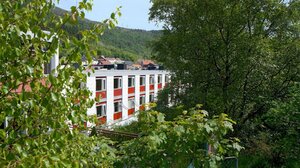 Hi Bergen Hostel Montana (Johan Blytts Vei No:30), otel  Bergen'den