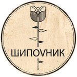Studia Shipovnik (Dzerzhinskogo Street No:11А), dövmeciler  Tula'dan