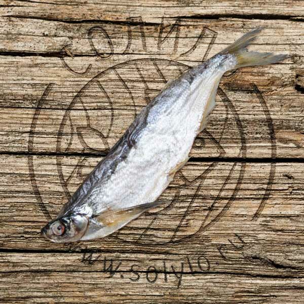 Balık ve deniz ürünleri Solylo, Ulyanovskaya oblastı, foto