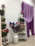 Rozarij (Taganskaya Street No:44), çiçekçiler  Moskova'dan