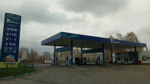 Benzin istasyonu Терминал, Nijni Novgorod, foto
