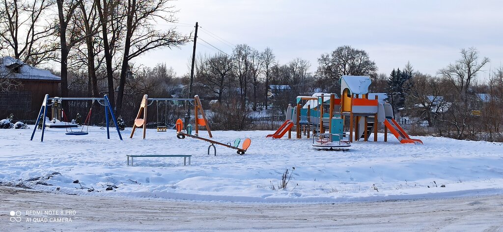 Oyun alanı Playground, İvanovskaya oblastı, foto