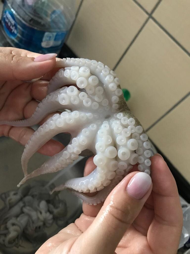 Balık ve deniz ürünleri Morskoy Bereg, Yekaterinburg, foto