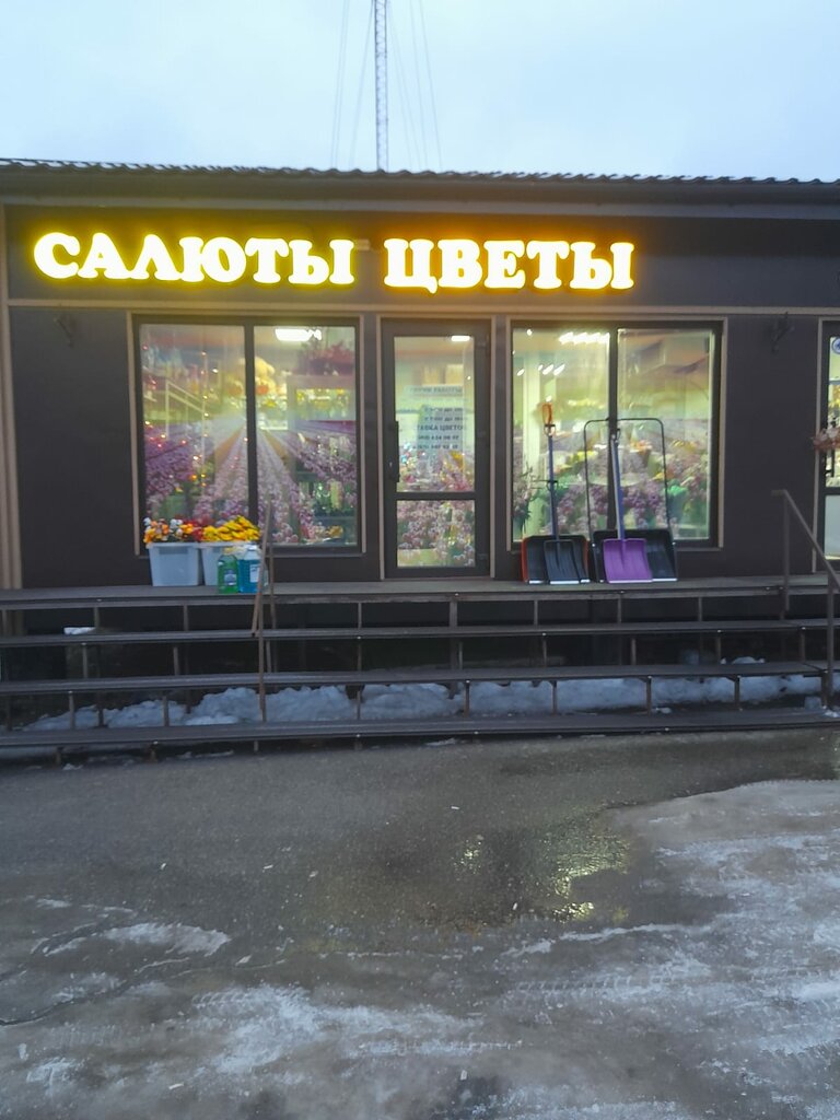 Çiçekçiler Цветы и подарки, Moskova ve Moskovskaya oblastı, foto