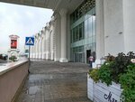 Туалет для инвалидов (Khoroshyovskiy proyezd No:14, Village of Nemchinovka), engelliler için tuvalet  Moskova ve Moskovskaya oblastından