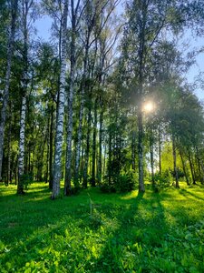 Южный парк (Smolensk Region, Safonovo, Yuzhny park), kültür ve eğlence parkları  Safonovo'dan