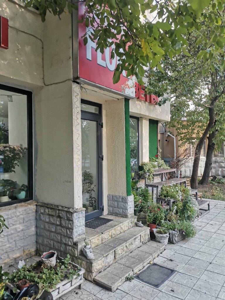 Çiçekçiler Flori, Kişinev, foto