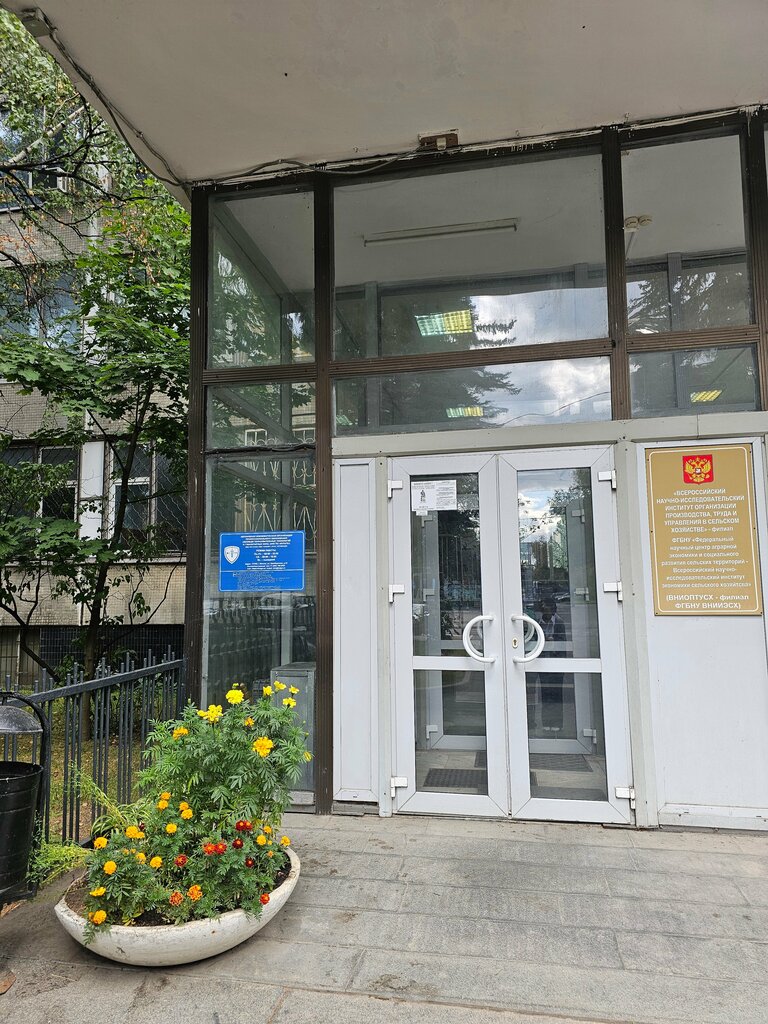 Çocuk gelişim merkezleri Kotik Preparatory Center, Moskova, foto