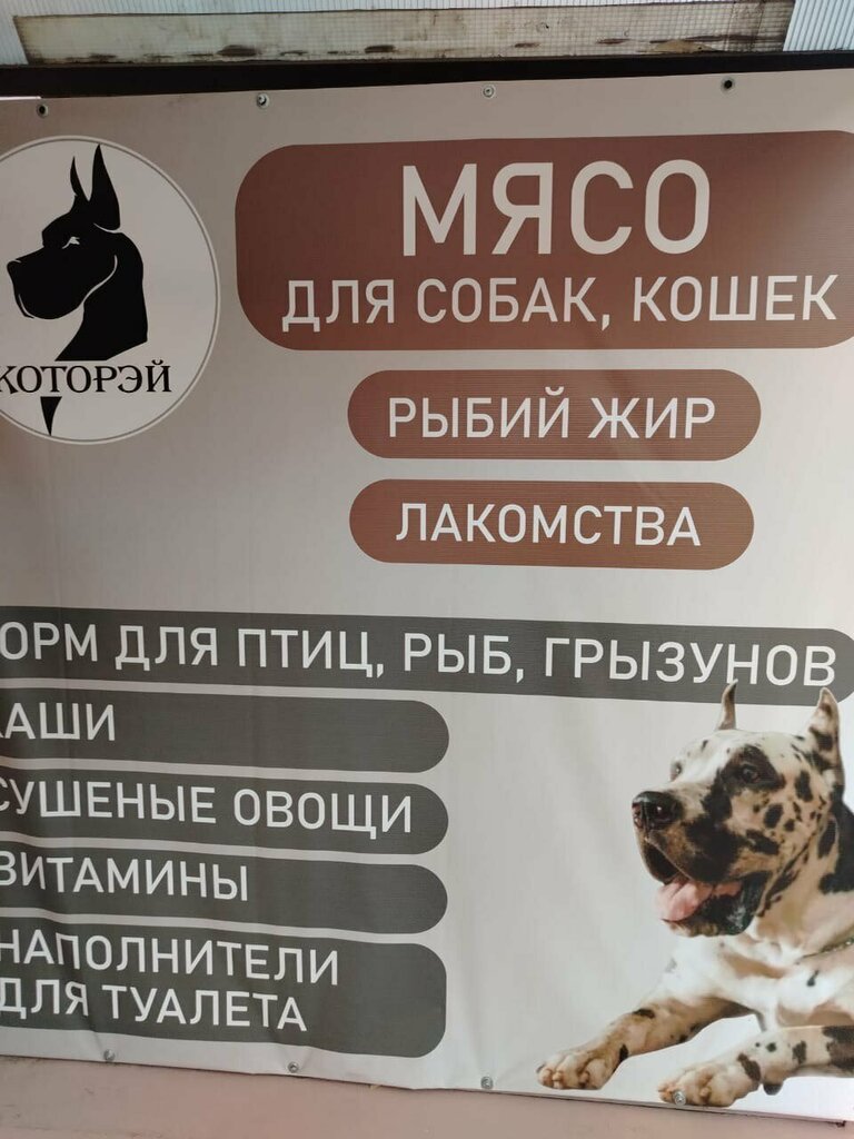 Petshop Которэй, Rostov‑na‑Donu, foto