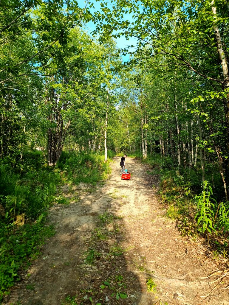 Tatil köyleri Tourist base, Murmanskaya oblastı, foto