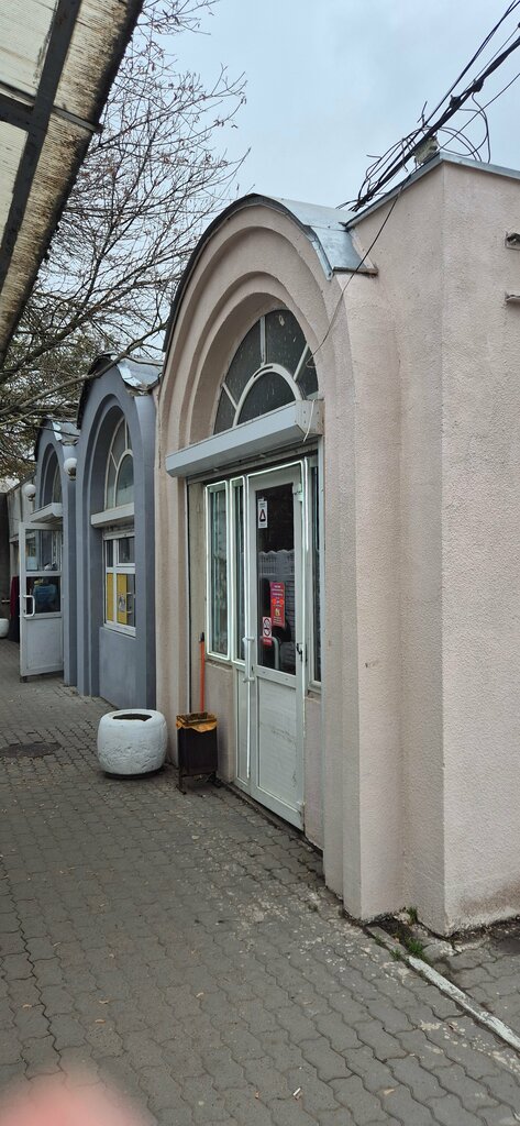 Tek kullanımlık mutfak gereçleri Одноразовая посуда, Bataysk, foto