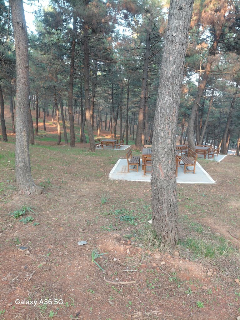 Kültür ve eğlence parkları Trabzon Millet Bahçesi, İstanbul, foto