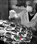 Officine Ottiche Italiane (Liguria, province of Genoa, Casarza Ligure, Sestri Levante, Via 25 Aprile 1945), optik cihazlar ve ekipmanlar