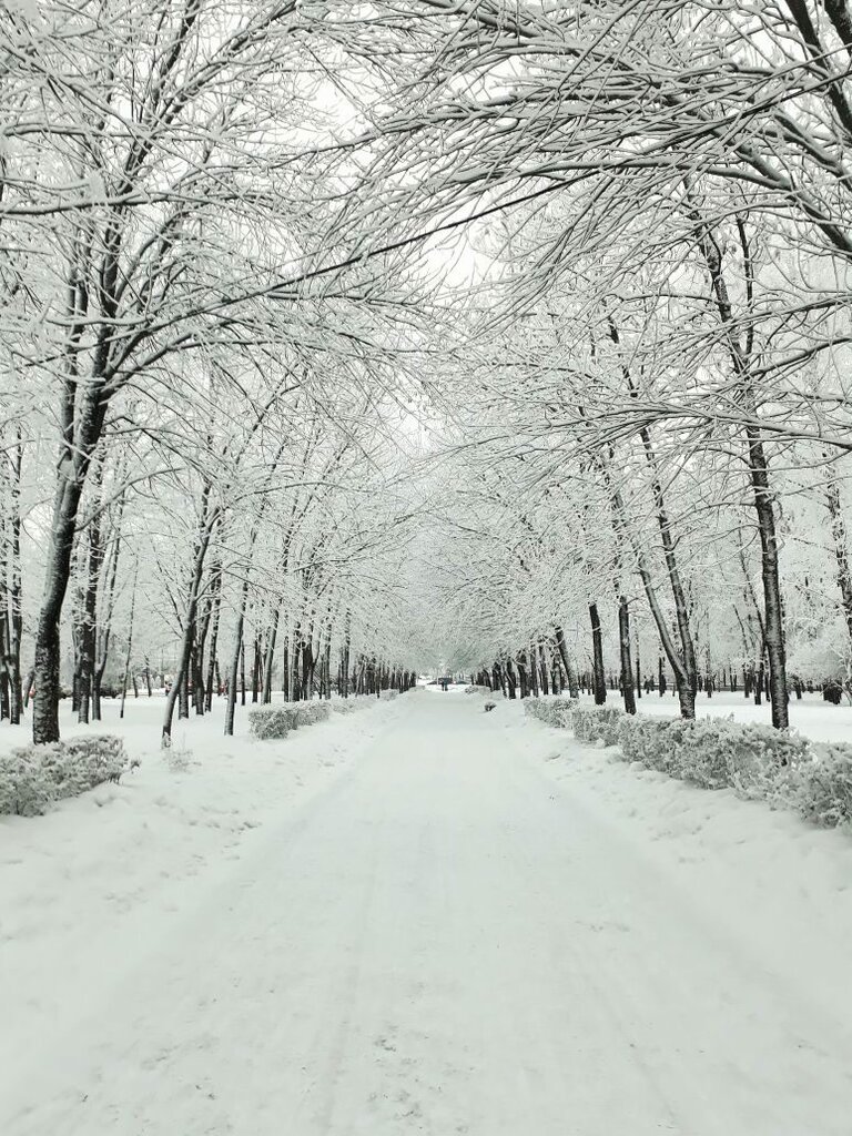Meydan Markov Public Garden, Lipetsk, foto