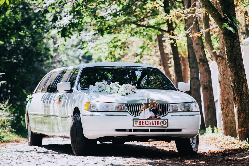 Şehiriçi yolcu taşımacılığı VIP Avtosvadba, Vinica, foto