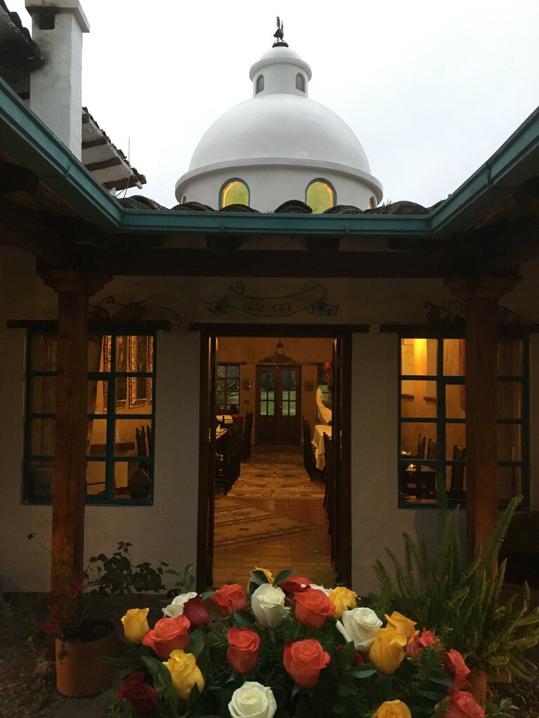 Otel Las Palmeras Inn, , foto