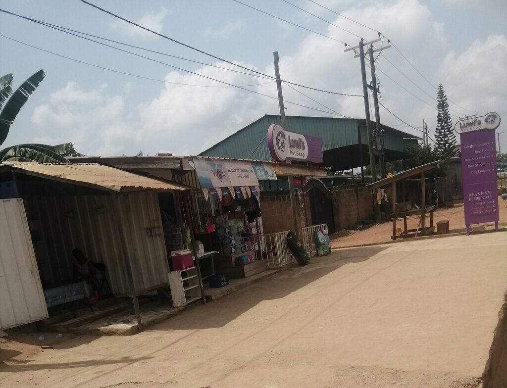 Petshop Luwi's, Dünya, foto