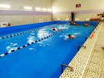 City Swimming Pool (Chitinskaya ulitsa No:47), yüzme havuzları  Polysayevo'dan
