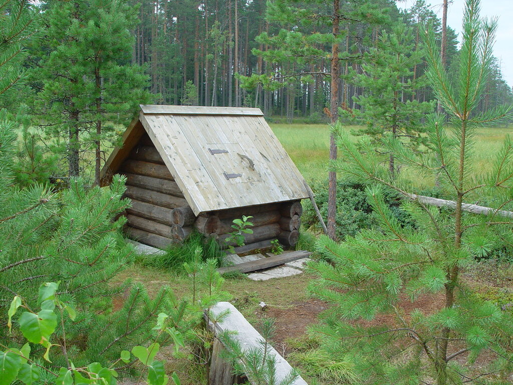 Belediyeler, devlet daireleri Комитет по Управлению Муниципальным Имуществом, Vologodskaya oblastı, foto
