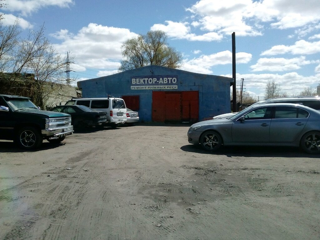 Otomobil servisi Вектор-Авто, Omsk, foto