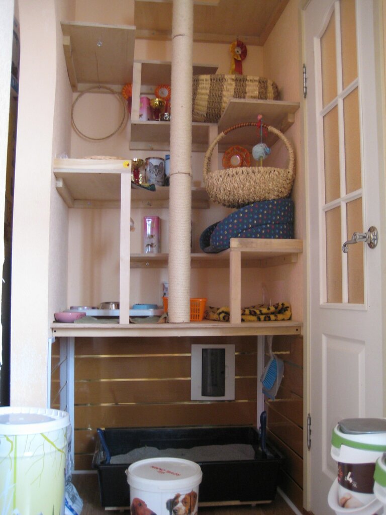 Petshop Zoo-Nika, Velikiy Novgorod, foto