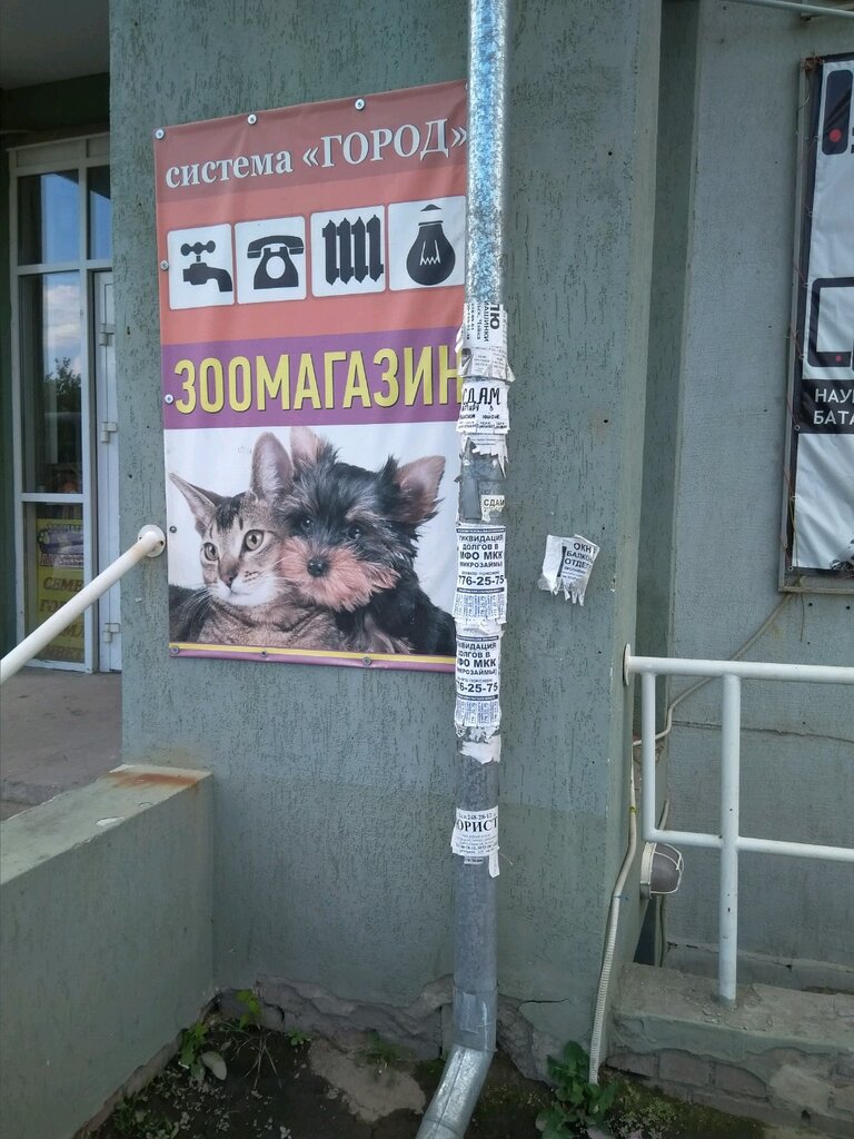 Petshop Любимчик, Çeliabinsk, foto