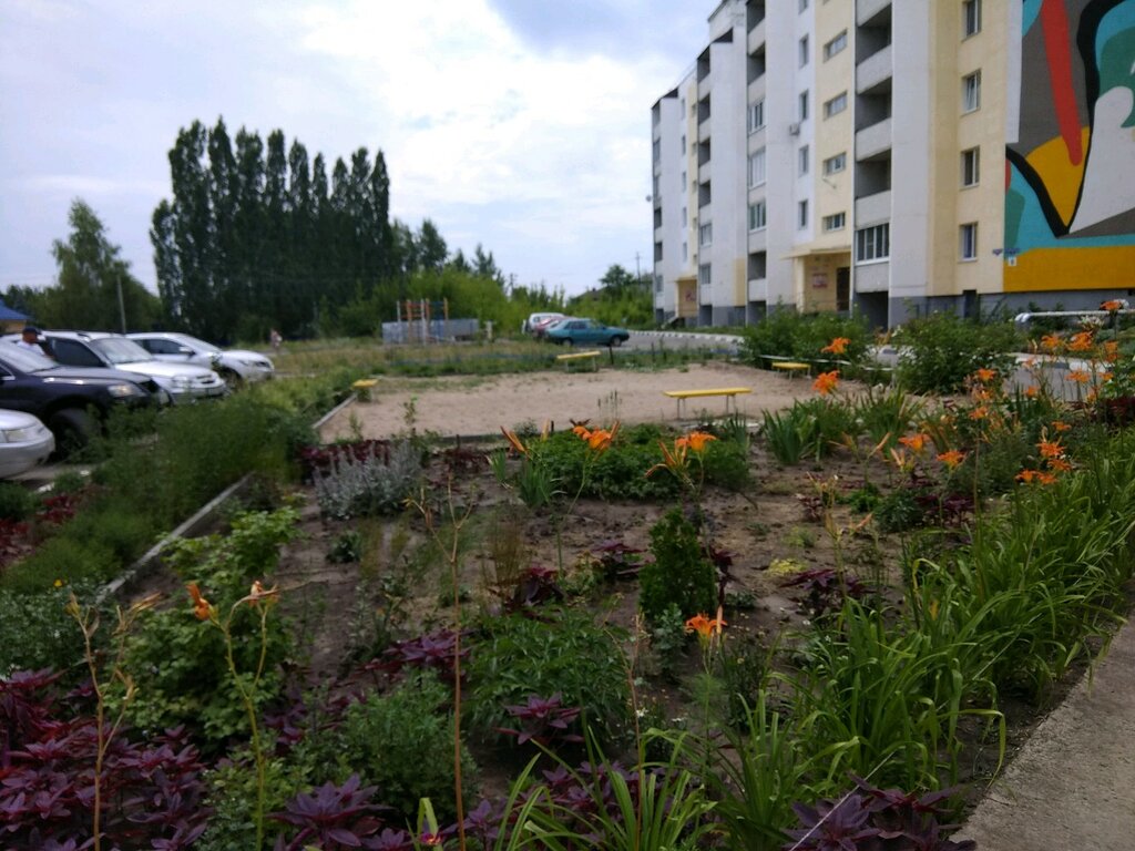 Oyun alanı Детские игровые залы и площадки, Saratov, foto