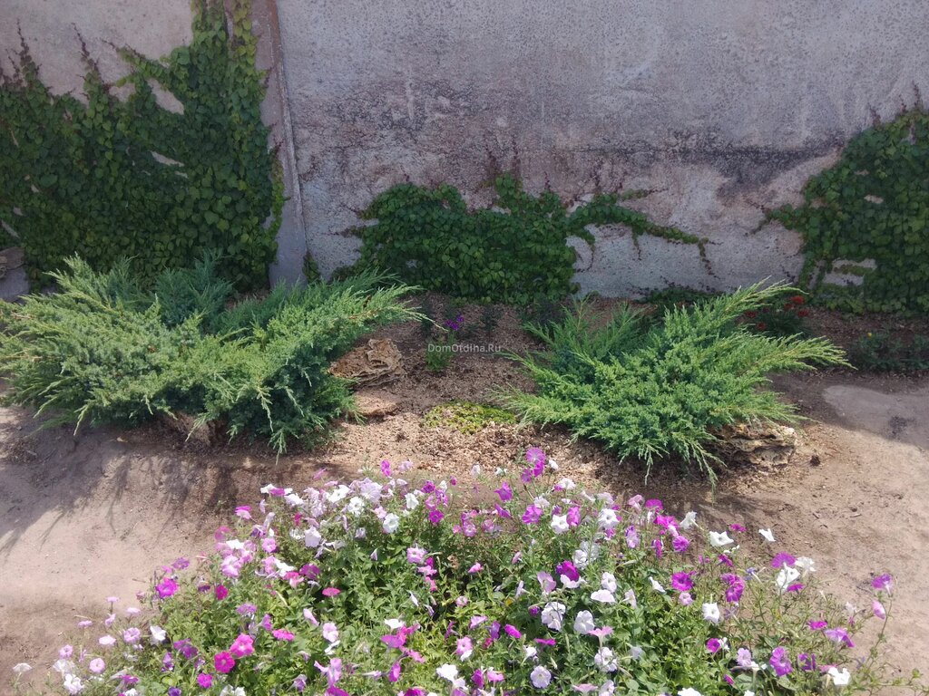 Termal otel Пансионат Платан, Kerson Bölgesi, foto