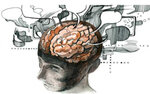 Luzzi Dr. Saverio Neurologo (Viale Giacomo Matteotti No:8, Florence), özel muayenehaneler  Floransa'dan
