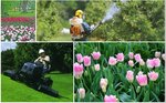 Ranzi Imerio Giardiniere (Emilia-Romagna, Ravenna, Via Cesarolo, 73), peyzaj tasarımı  Emilia‑Romagna'dan
