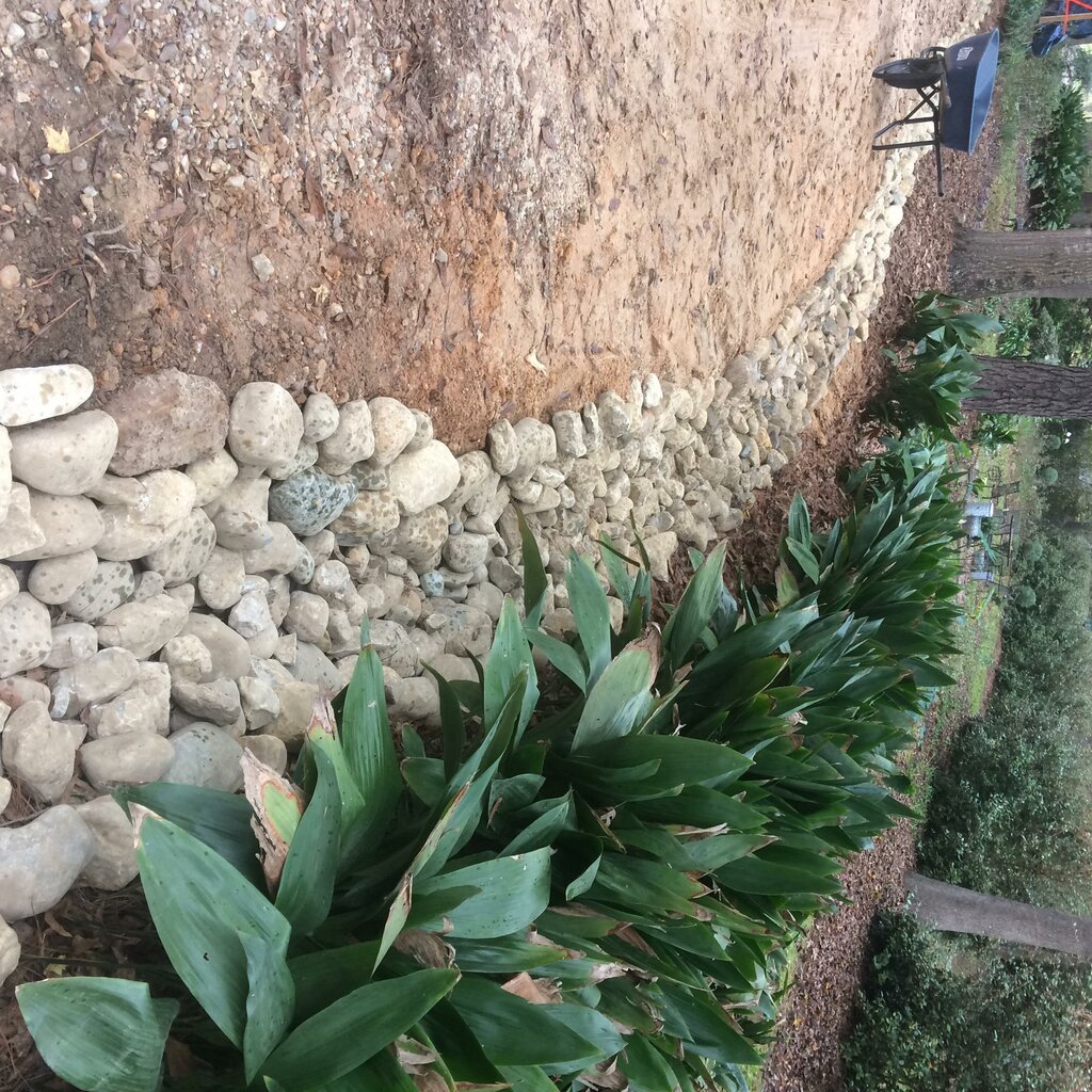Peyzaj tasarımı Greenview Irrigation, Missisippi Eyaleti, foto