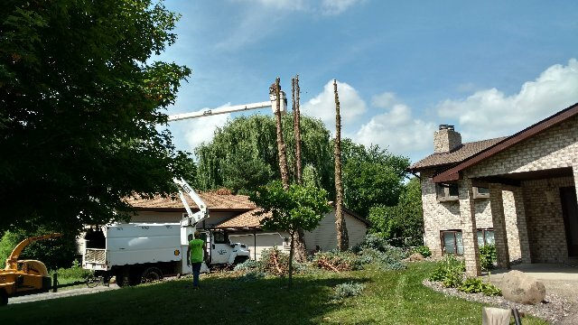 Bahçe ekipmanları ve teknolojileri A Cut Above Tree Service, Doğu Peoria, foto