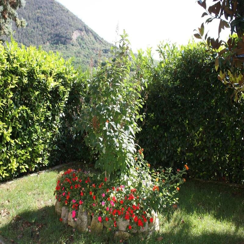 Peyzaj tasarımı Ambrosi Davide Parchi e Giardini, Dünya, foto