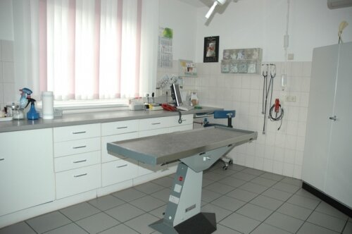Veteriner klinikleri Kleintierzentrum am Schmelzbach Fachpraxis für Kleintiere und Tierphysiotherapie, Saksonya, foto