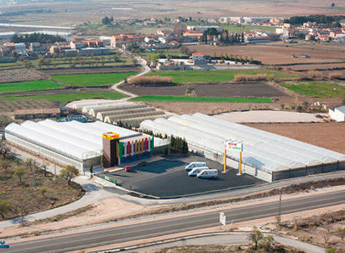 Tarım ürünleri firmaları Viveros Del Sureste, Murcia, foto