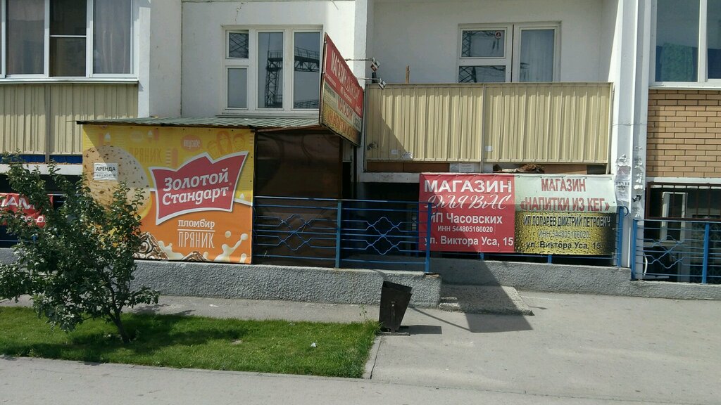 Bira dükkanı Напитки из кег, Novosibirsk, foto