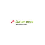 Dikaya Roza (Syuyumbike Street No:72А), çiçekçiler  Nijnekamsk'tan (Tüben Kama'dan)